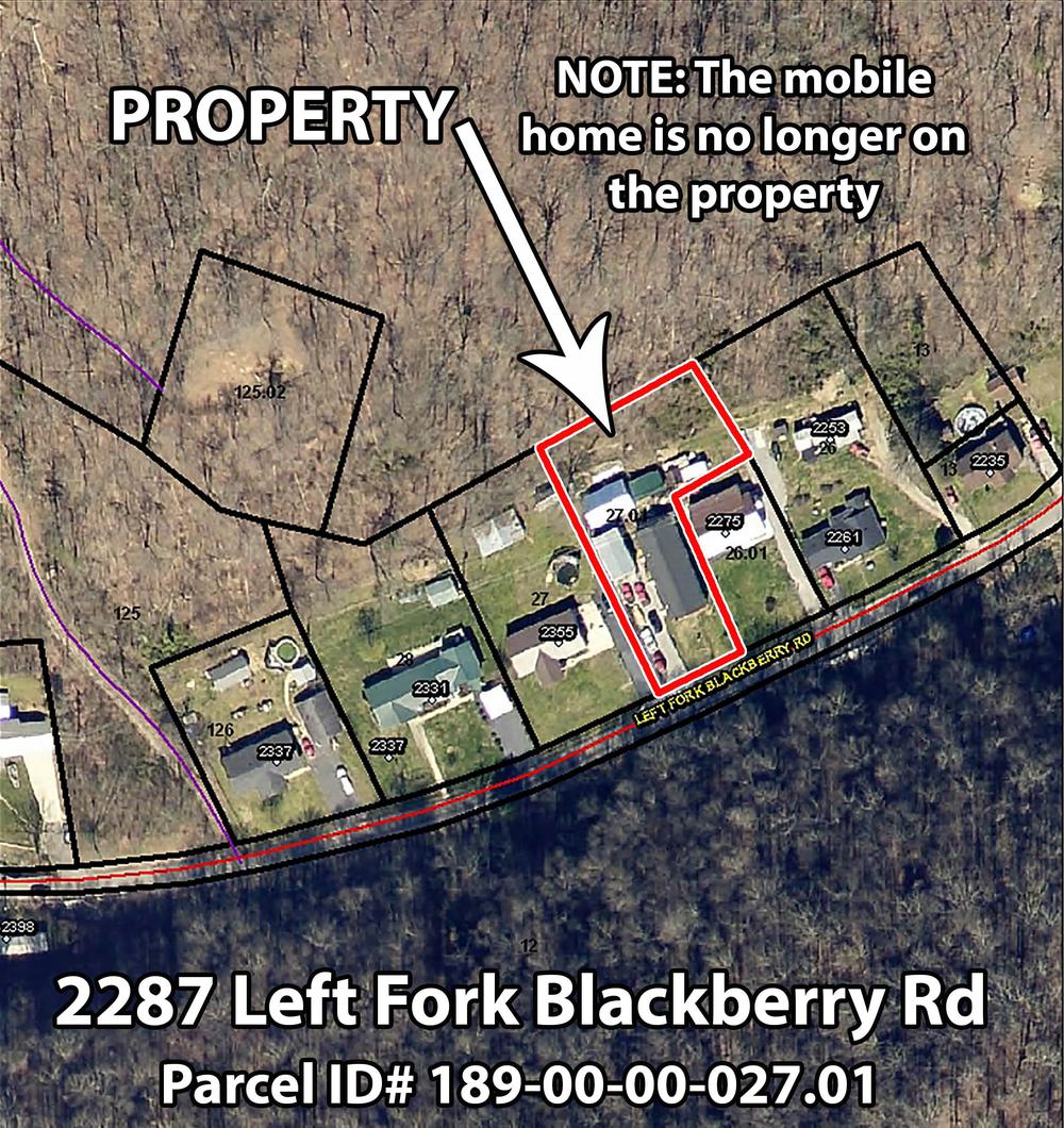 Real Look - 2287 Left Fork Blackberry Road, Ransom, KY 41558